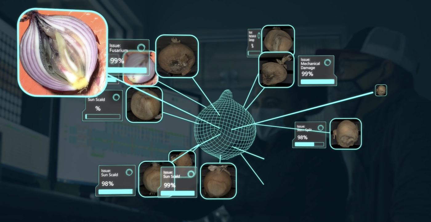 7 innovative onion packers embrace TrueAI to transform the market ...